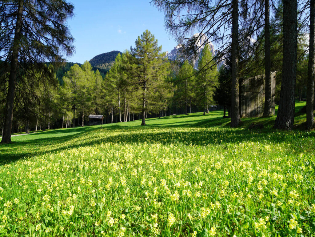 Sommer im Pustertal: Radfahren & Wandern ≡ Hotel Brötz